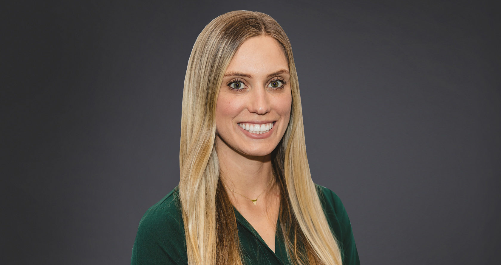 About Lion Interactive | Founded in 1999 in the San Francisco Bay Area